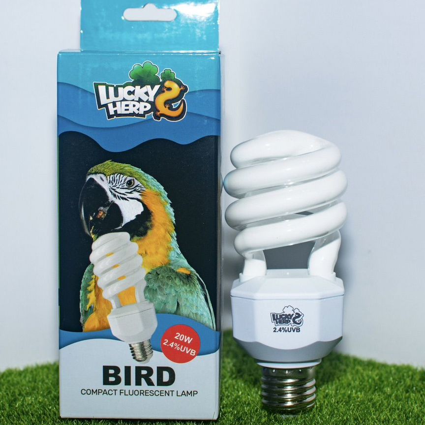 Лампа для птиц ультрафиолетовая