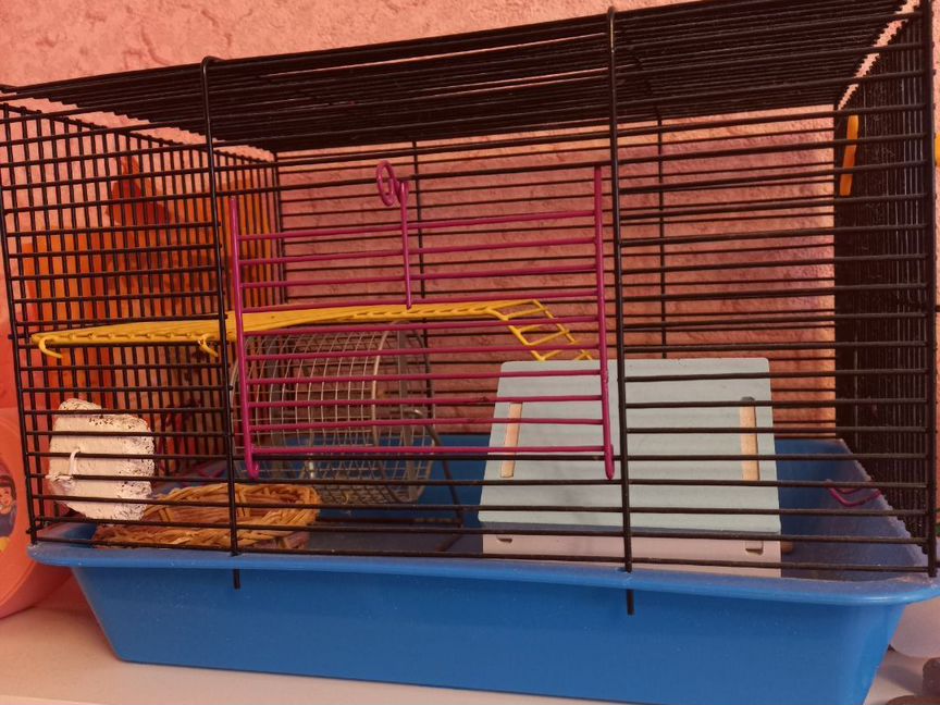 Клетка для хомяка