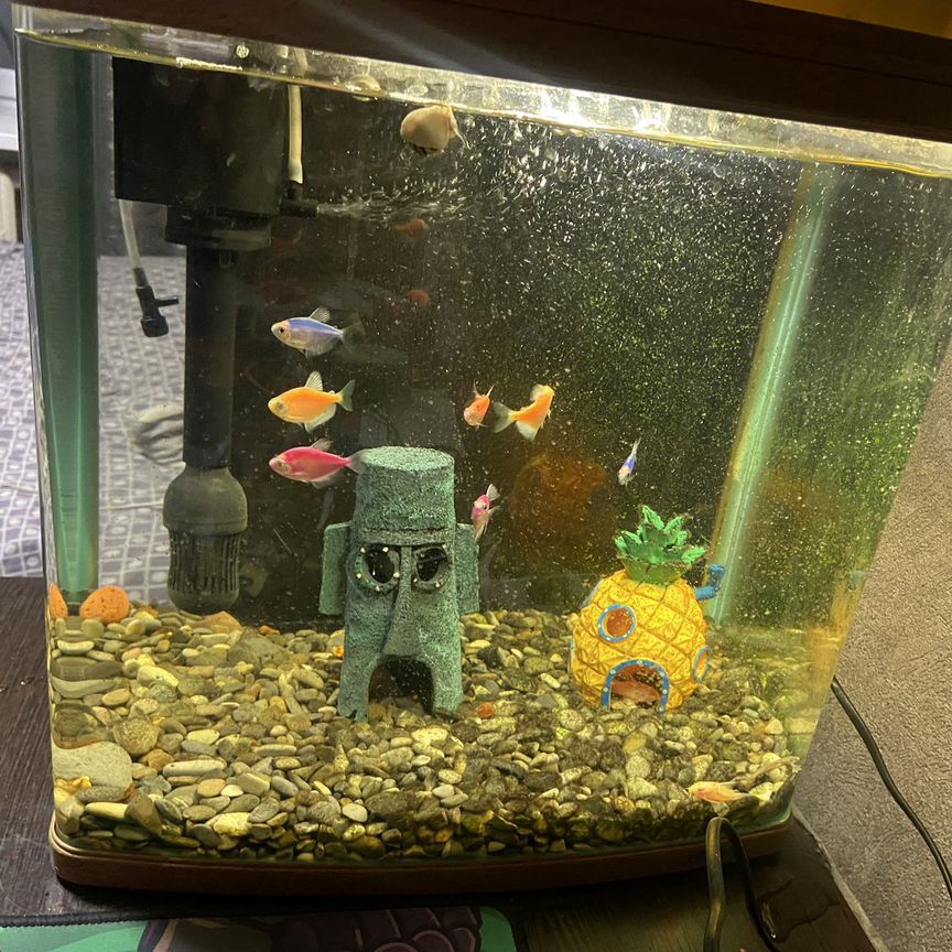 Аквариум jebo r338