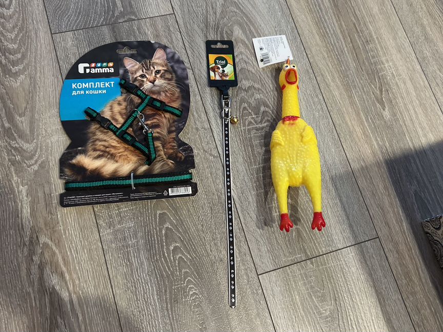 Ошейник для кошки и утка резиновая для собаки