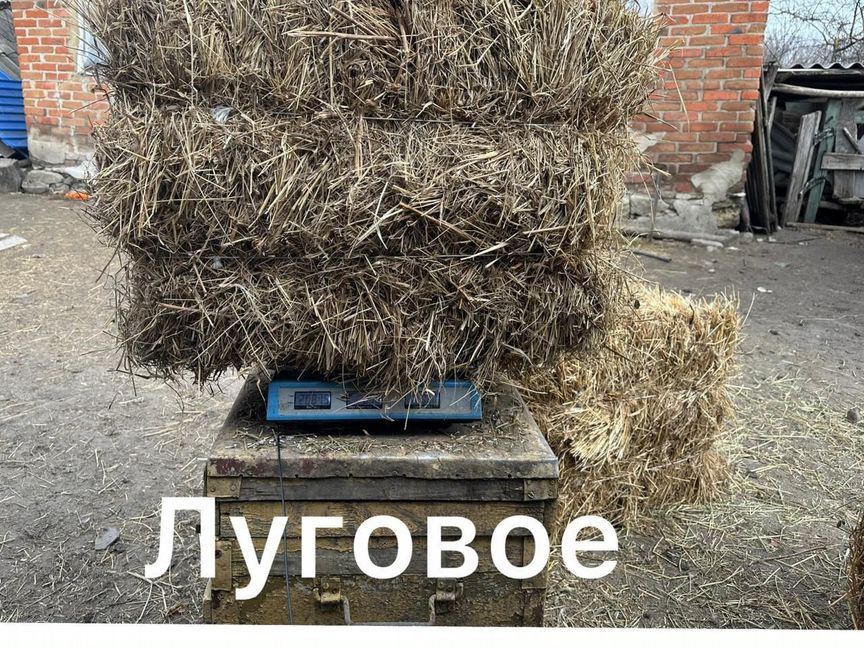 Сено луговое и люцерна в тюках