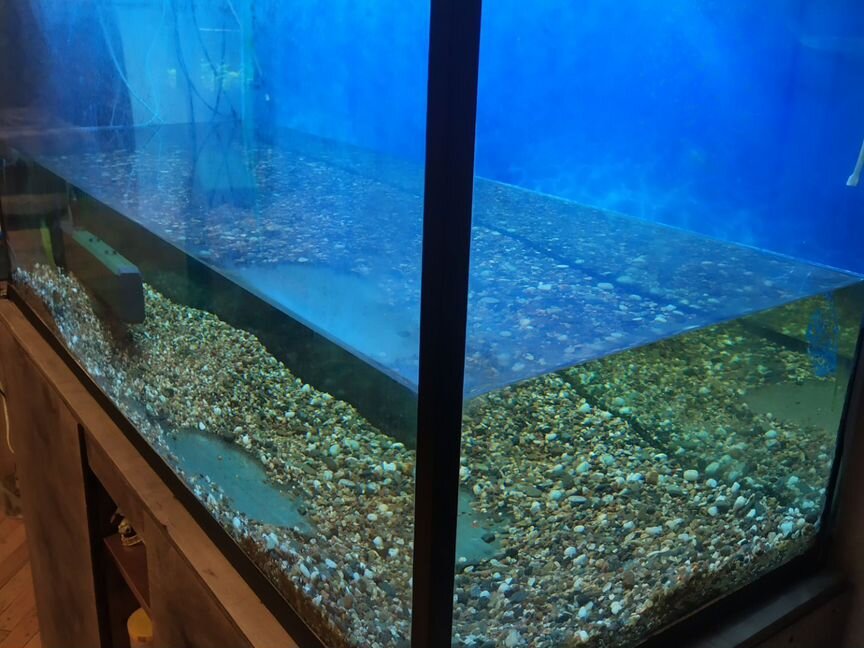 Аквариум 380л. Стекло