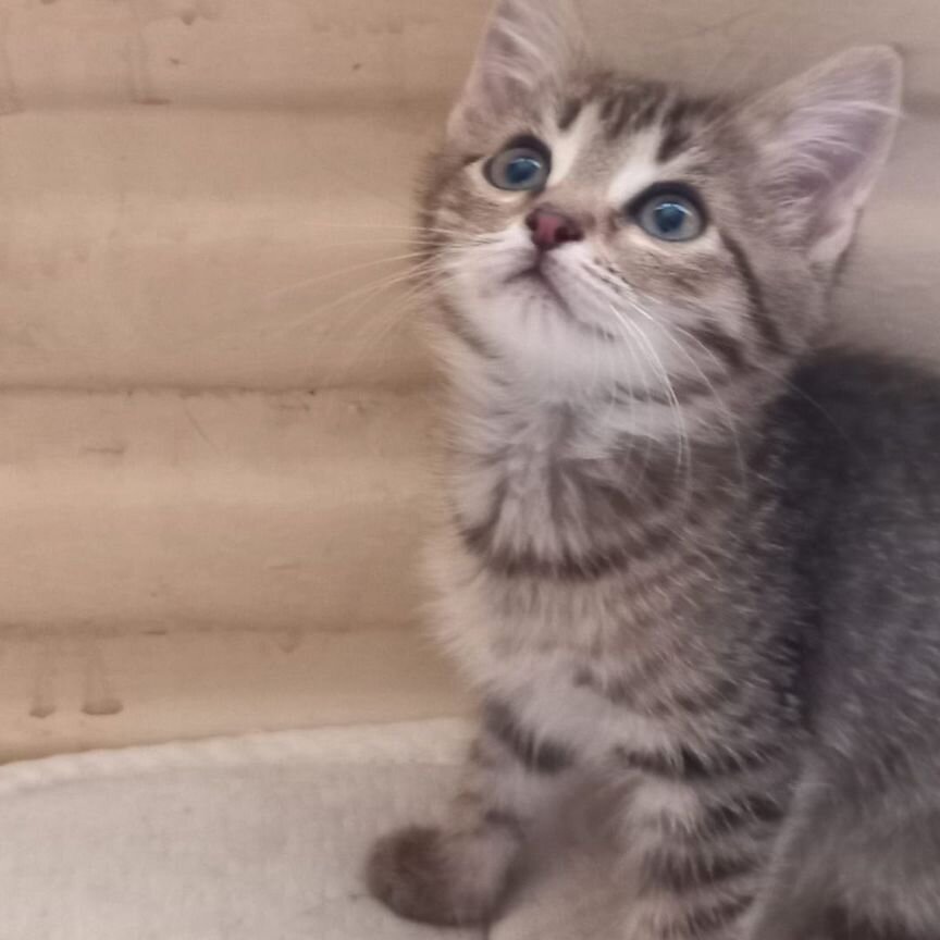 Маленькая девочка