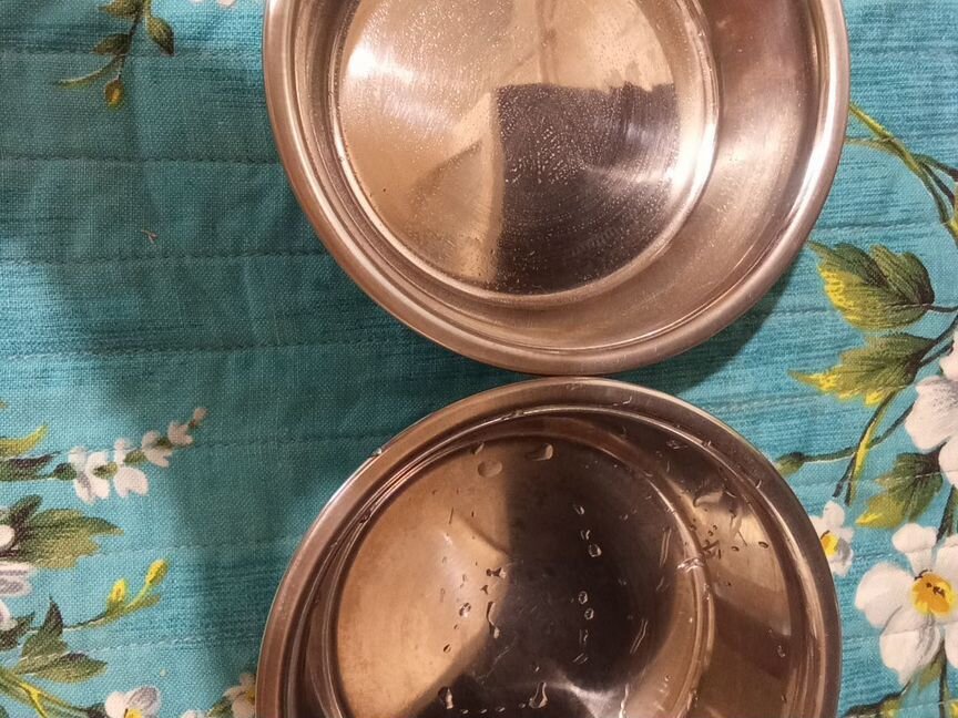 Миска для животных,термос