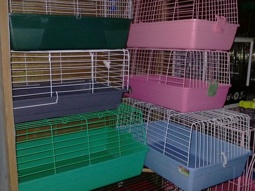 Клетки Для кроликов и морских свинок