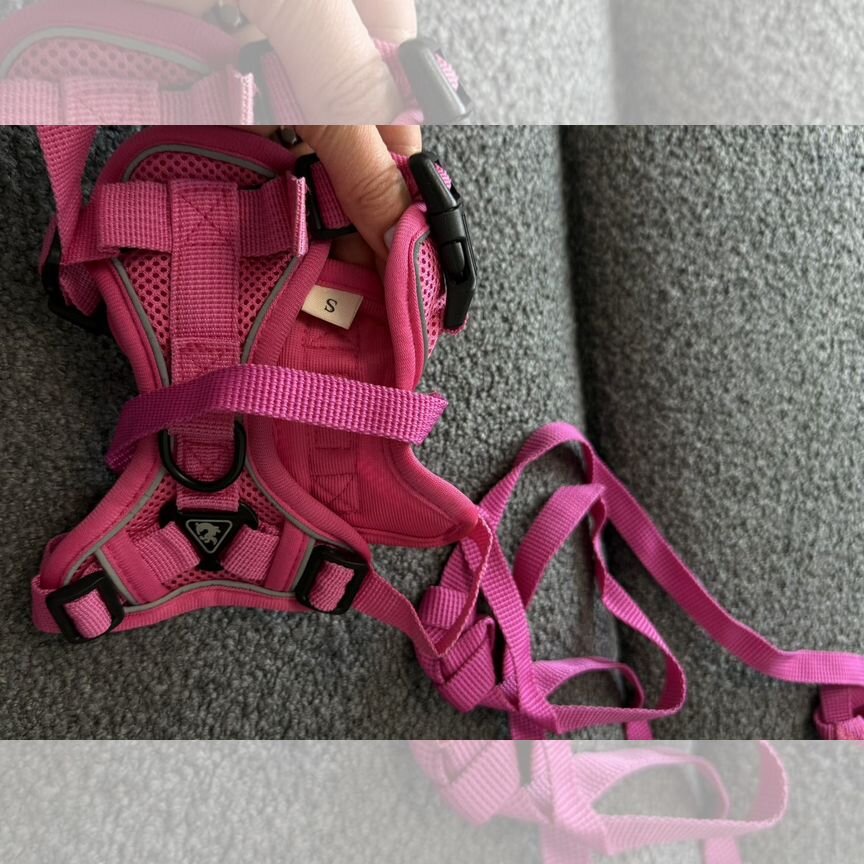 Шлейка с поводком Savipets