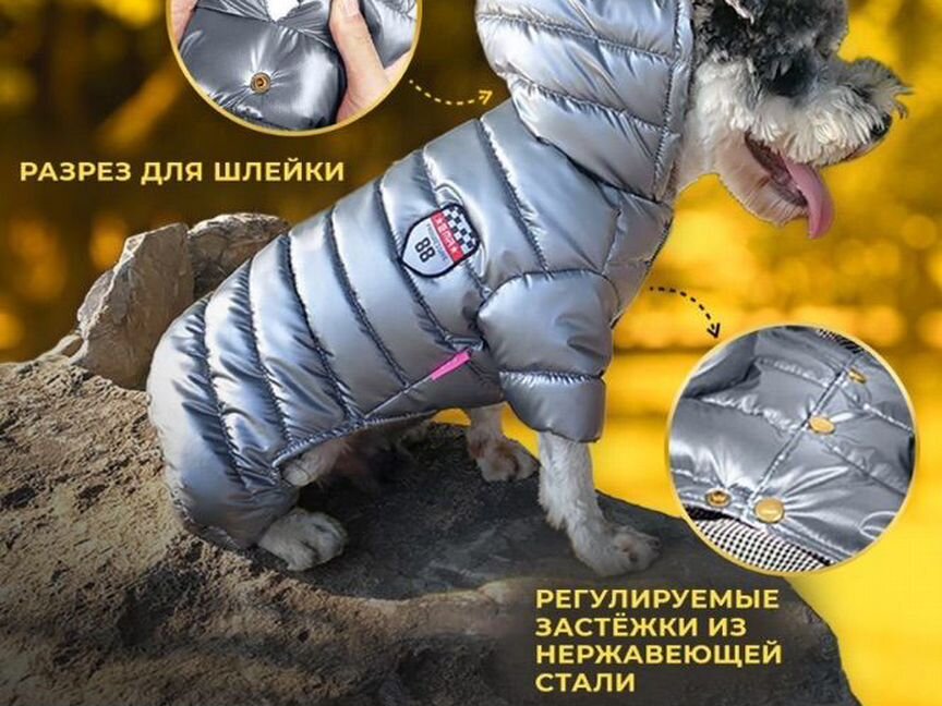 Костюм и шлейка для собак мелких пород