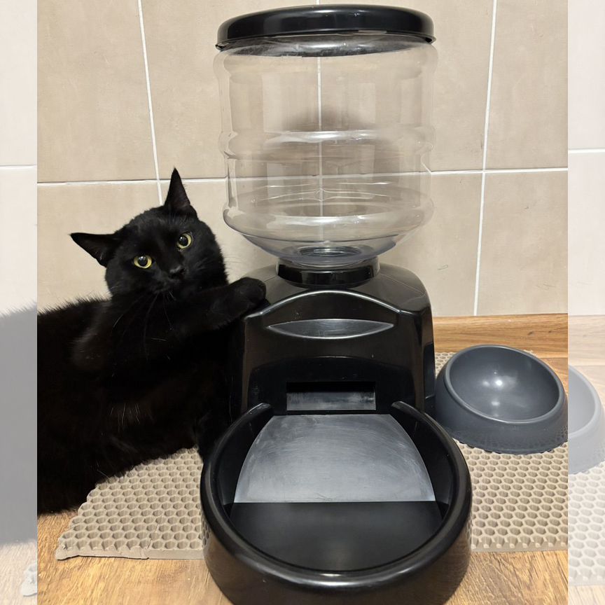 Автокормушка для кошек