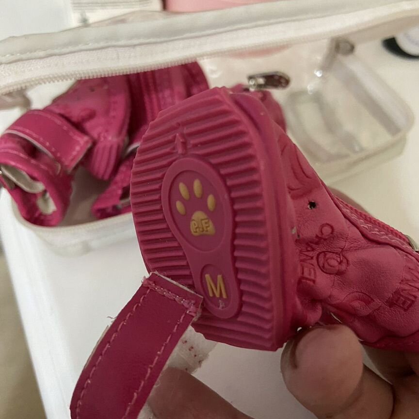 Одежда и обувь для собак мелких пород