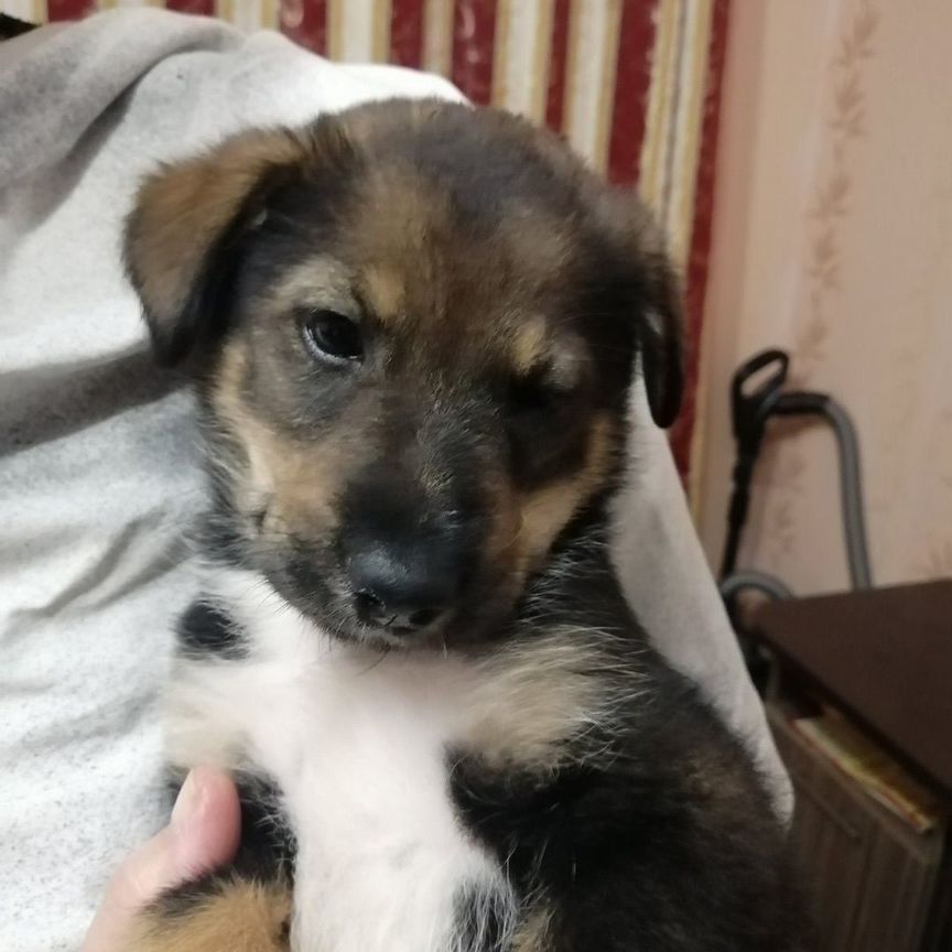 Милый пацанёнок