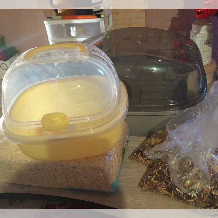 Полный комплект для хомячка (б/у)