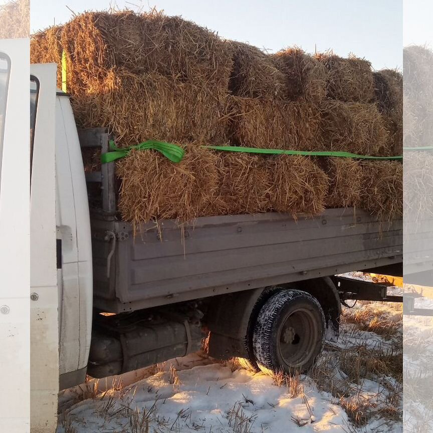 Солома в тюках