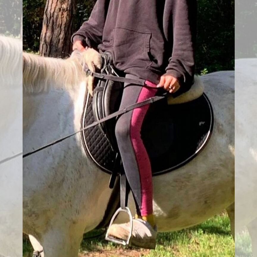 Вальтрап для лошади