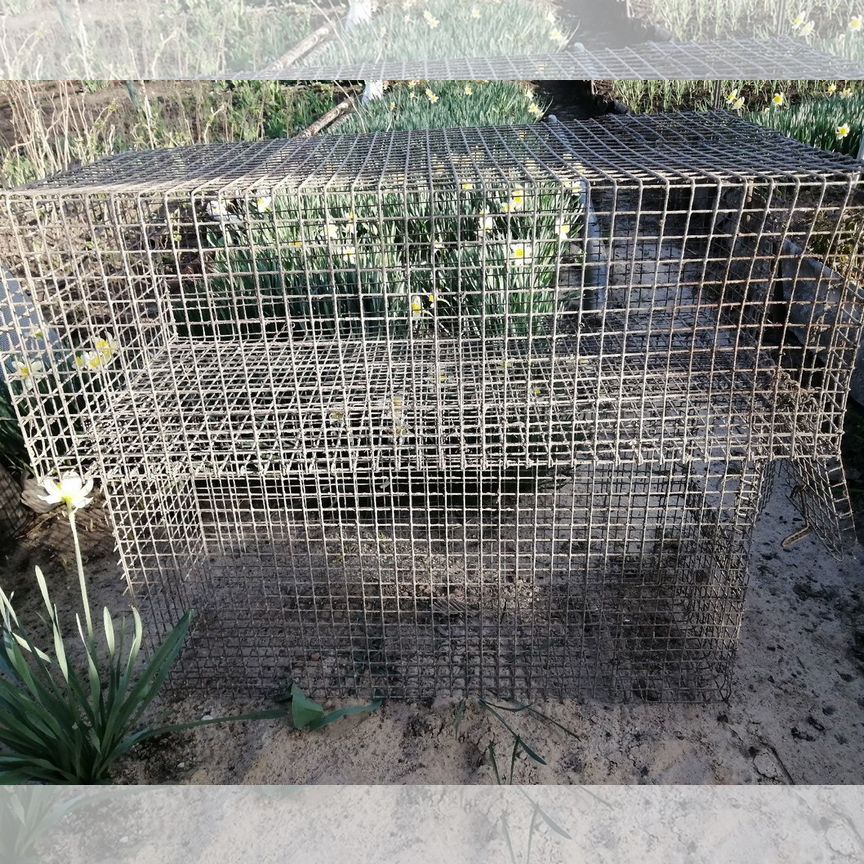 Клетка вольер для птиц