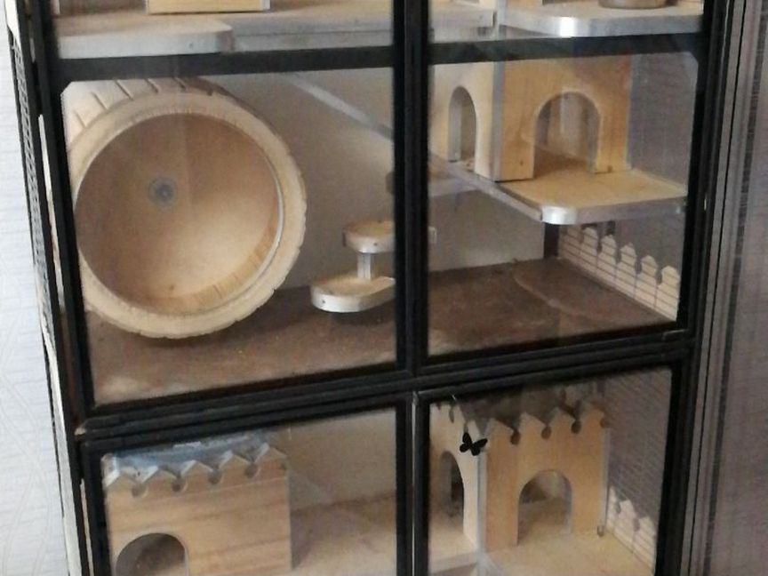 Клетка для шиншил, дегу