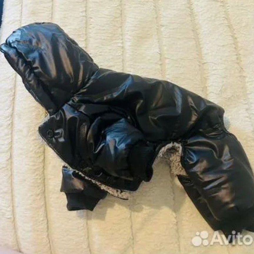 Одежда для собак S