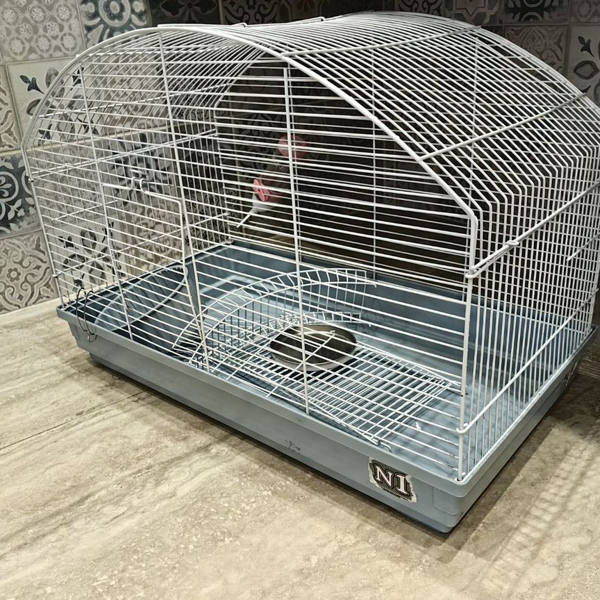 Клетка для грызунов большая ferplast