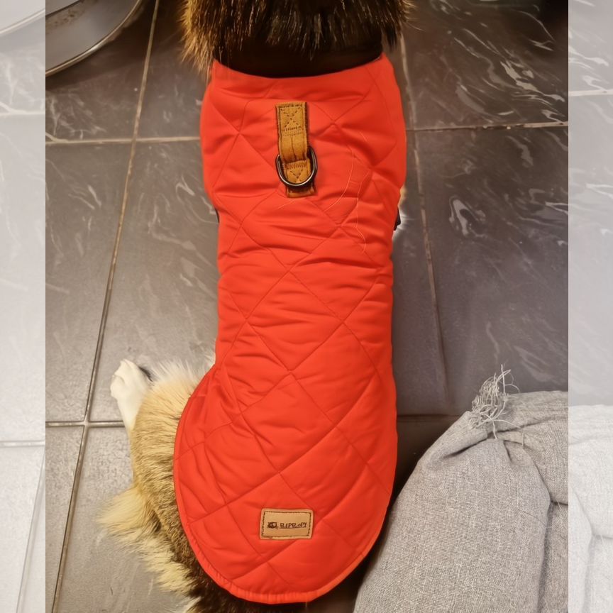 Одежда для собак средних пород