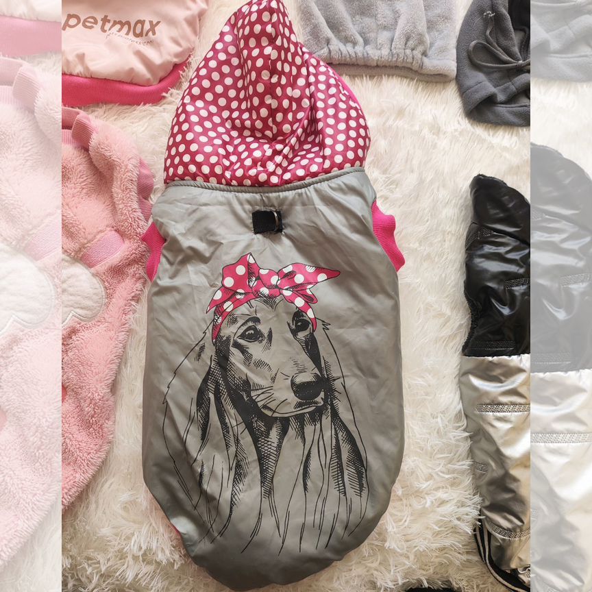 Одежда для маленьких собак