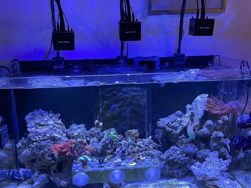 Aqua medic qube 50 Светильник аквариума