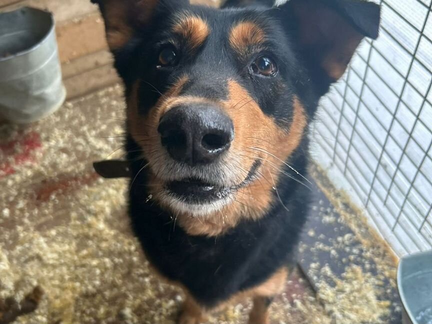 Чарли уже устал ждать