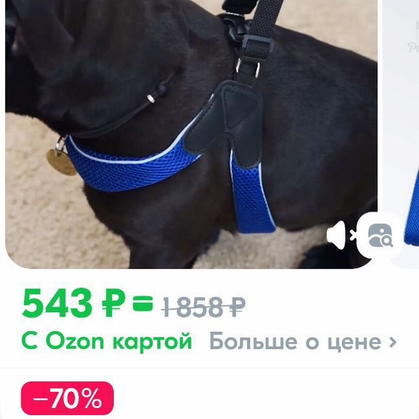 Шлейка для большой собаки