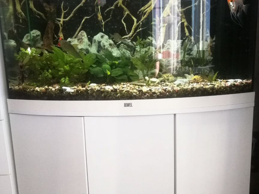 Аквариум с тумбой juwel 180л