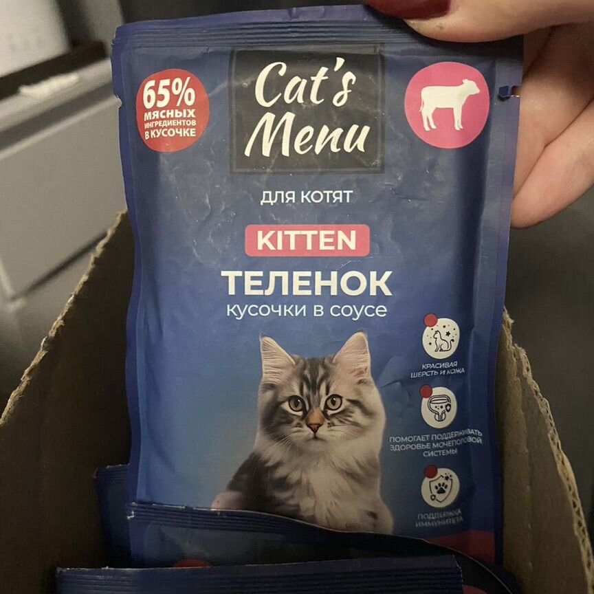 Корм для кота/котенка