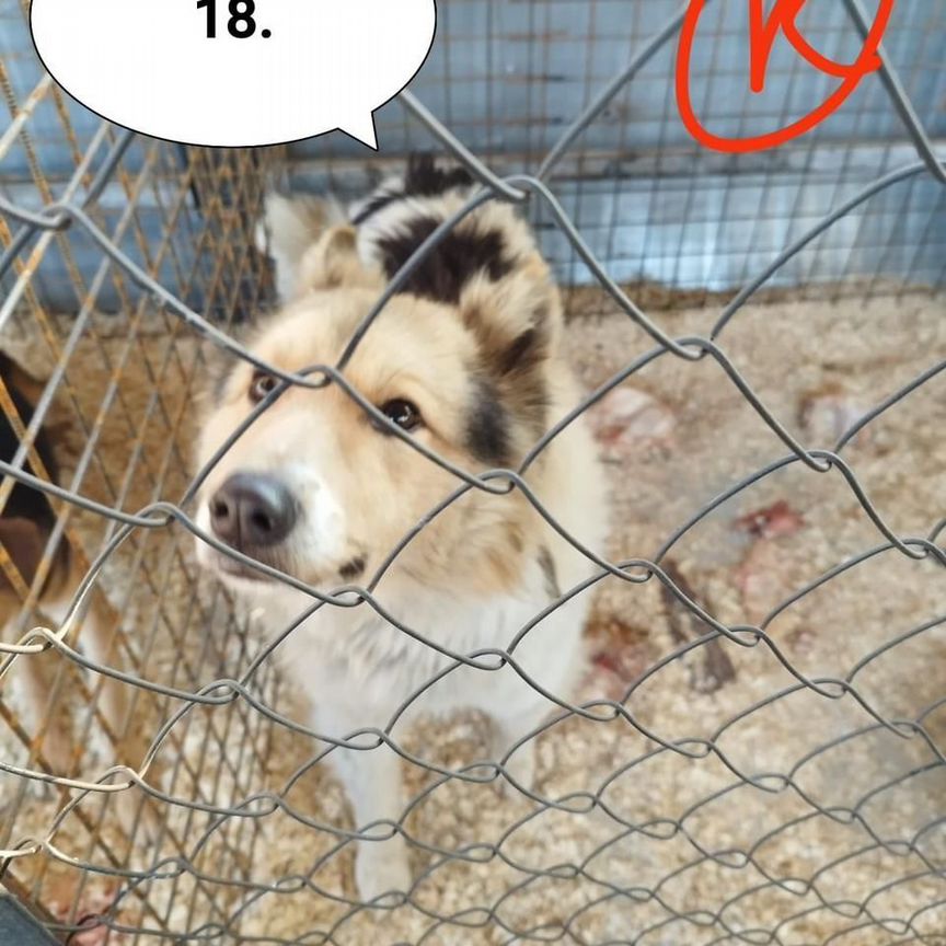 Подарите право на жизнь