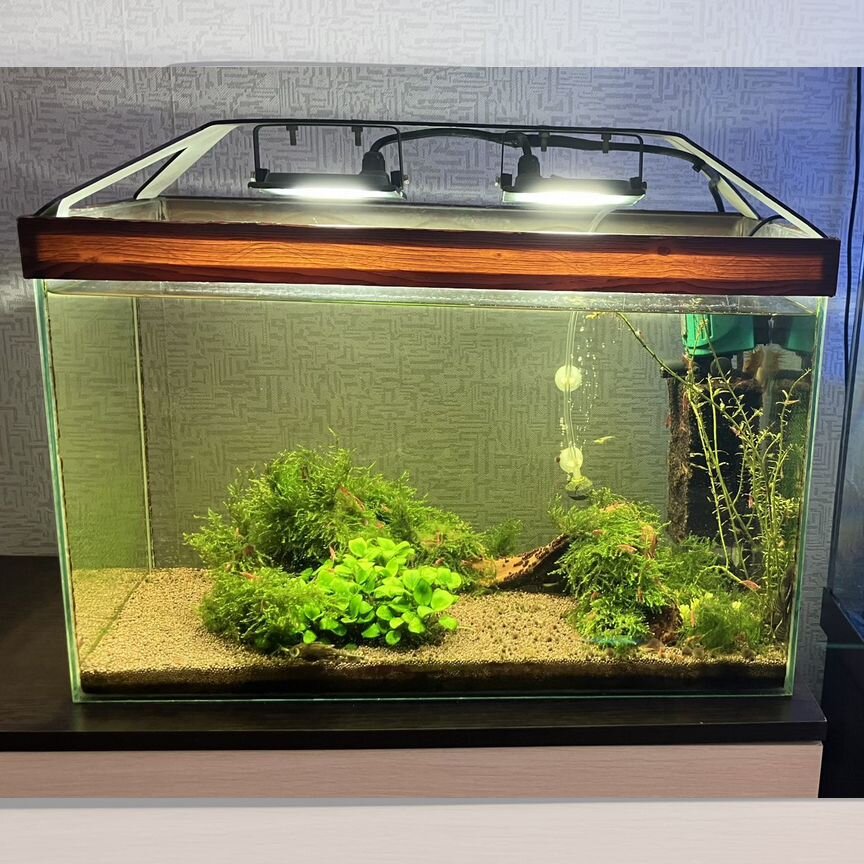 Аквариум с рыбками