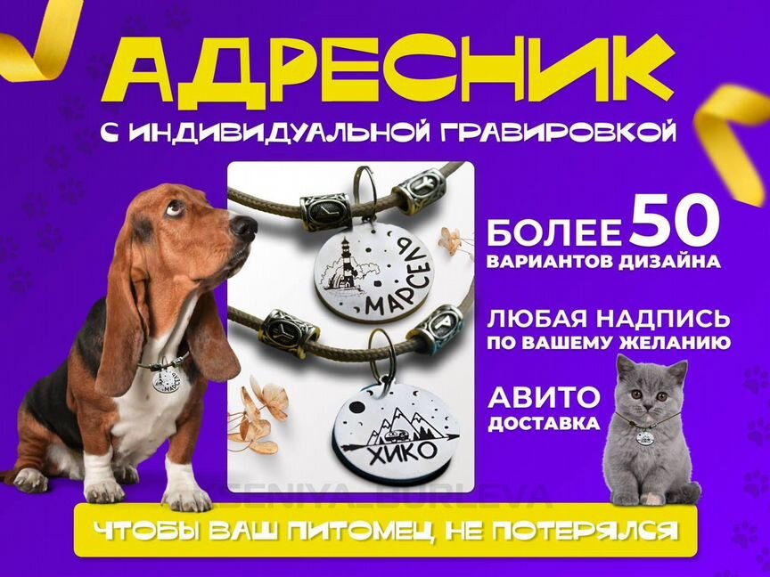 Адресник для собак и кошек