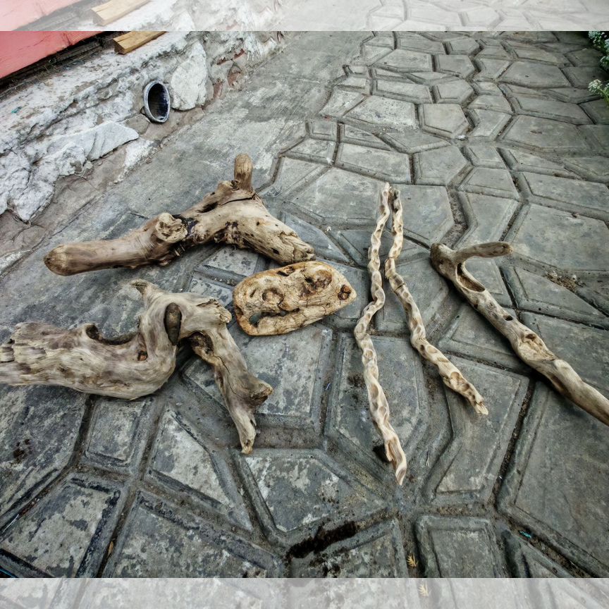 Коряга в аквариум