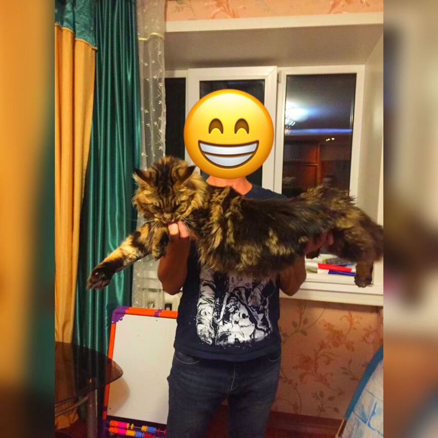 Мейн-кун вязка