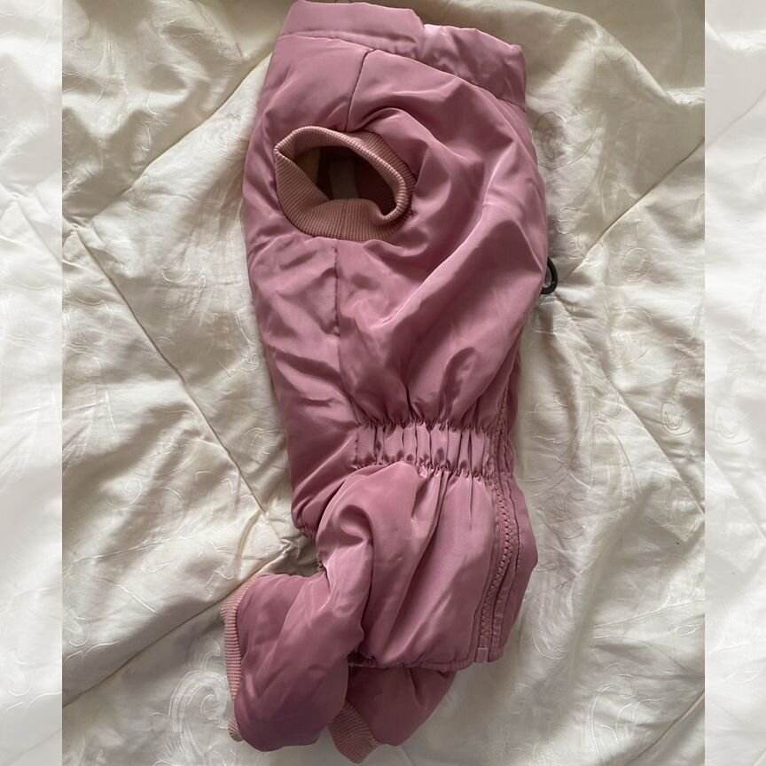 Одежда для собак мелких пород девочка