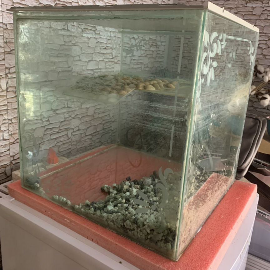 Аквариум для черепах