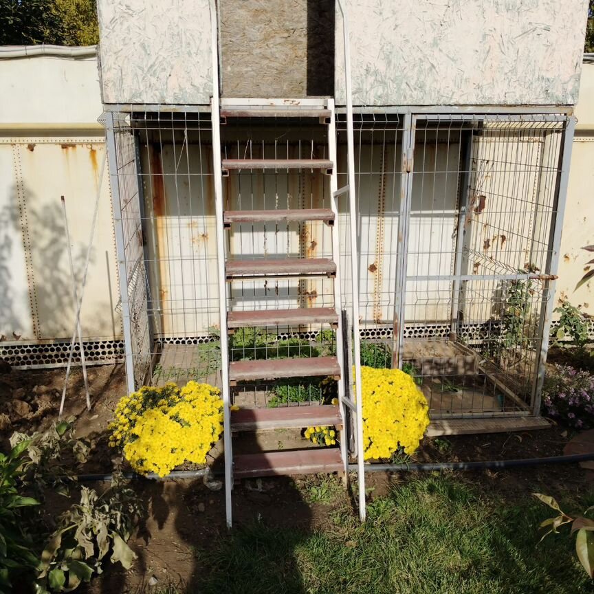 Собачий вольер с домиком для детей