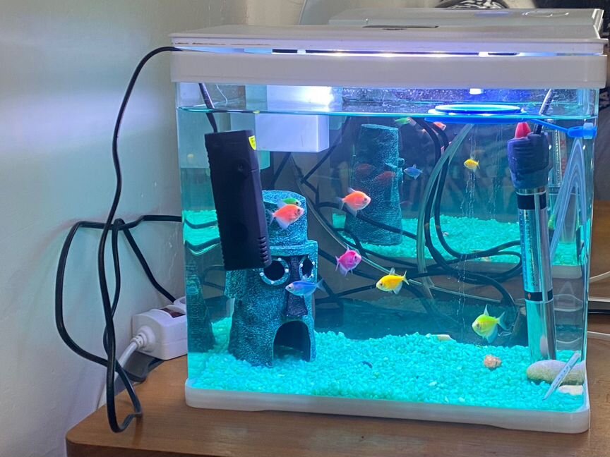 Аквариум 15 литров