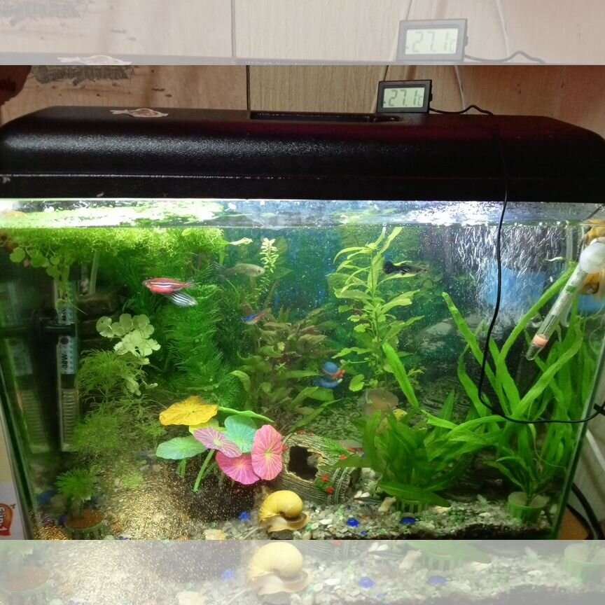 Аквариум 40л пустой без содержимого