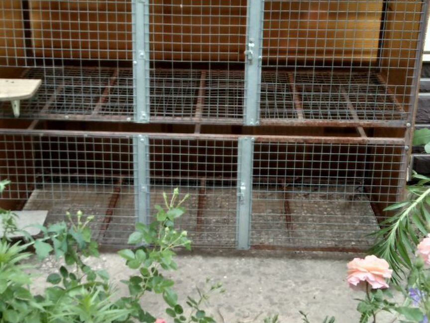 Клетка для цыплят