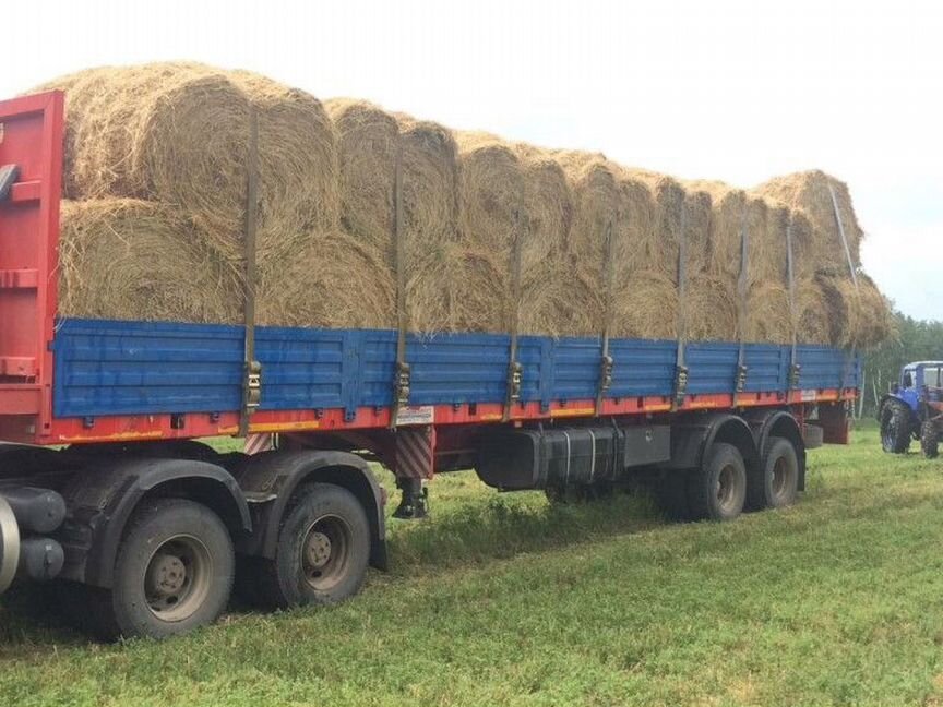 Сено в рулонах с доставкой