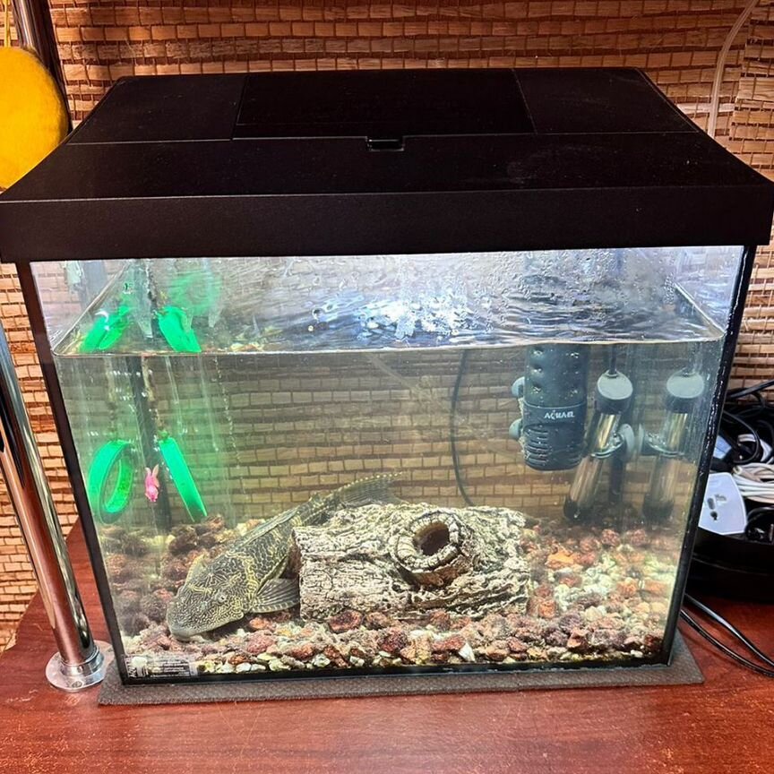 Аквариум 50 л