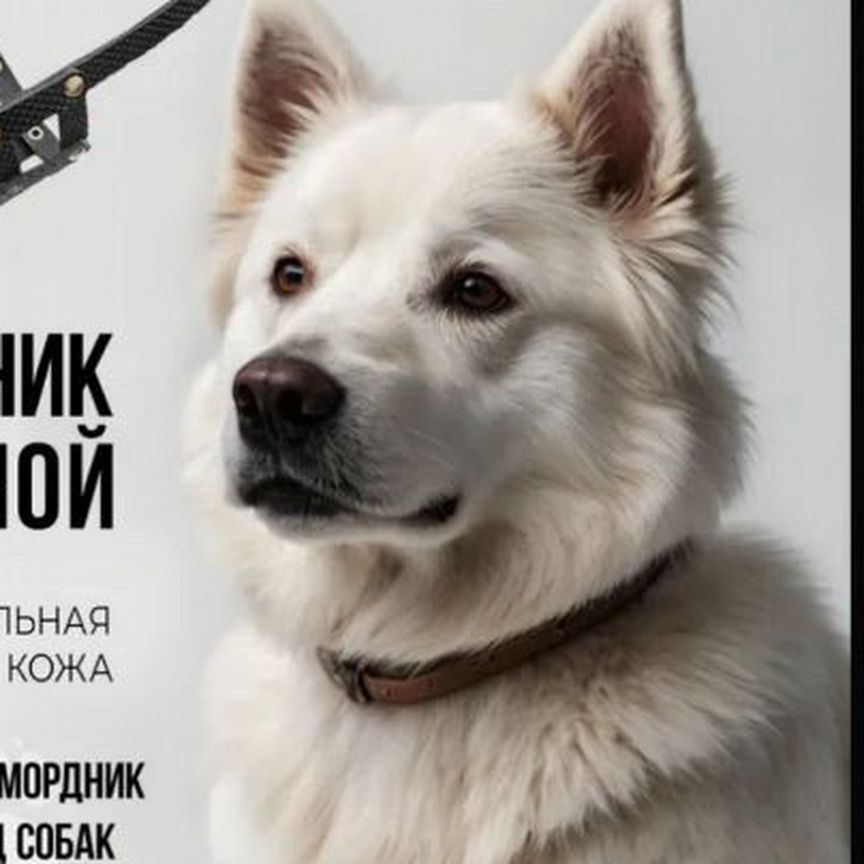 Намордник