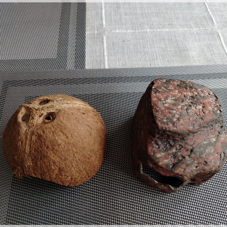 Домики для рептилий