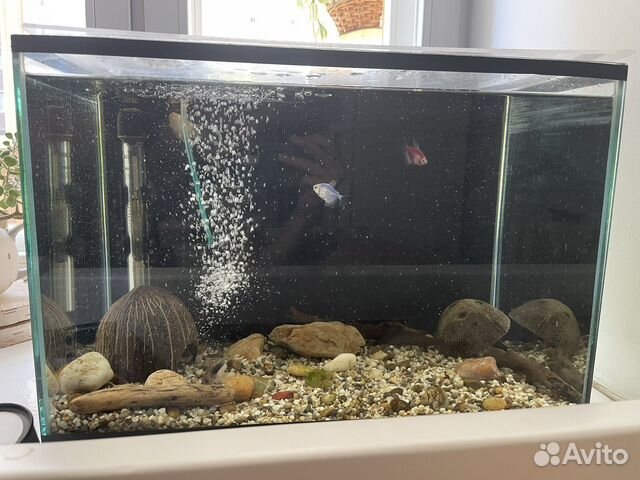 Аквариум 30 литров