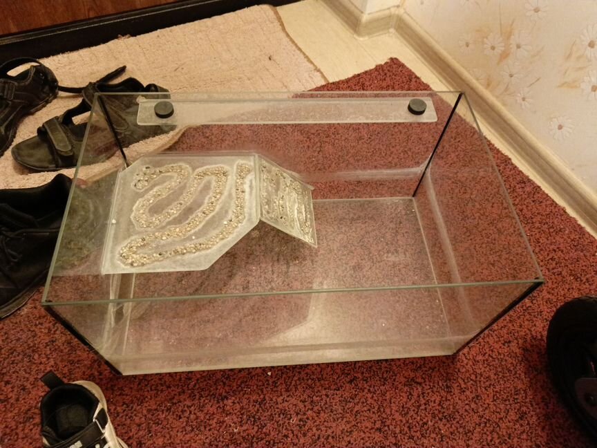 Террариум для черепахи