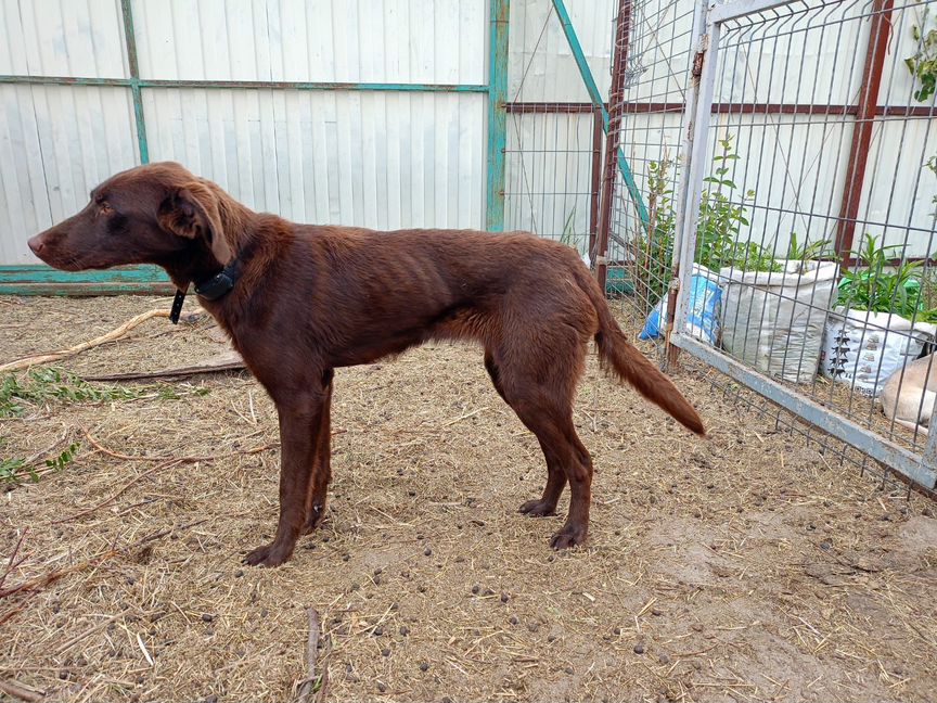 Охотнячая, девачка