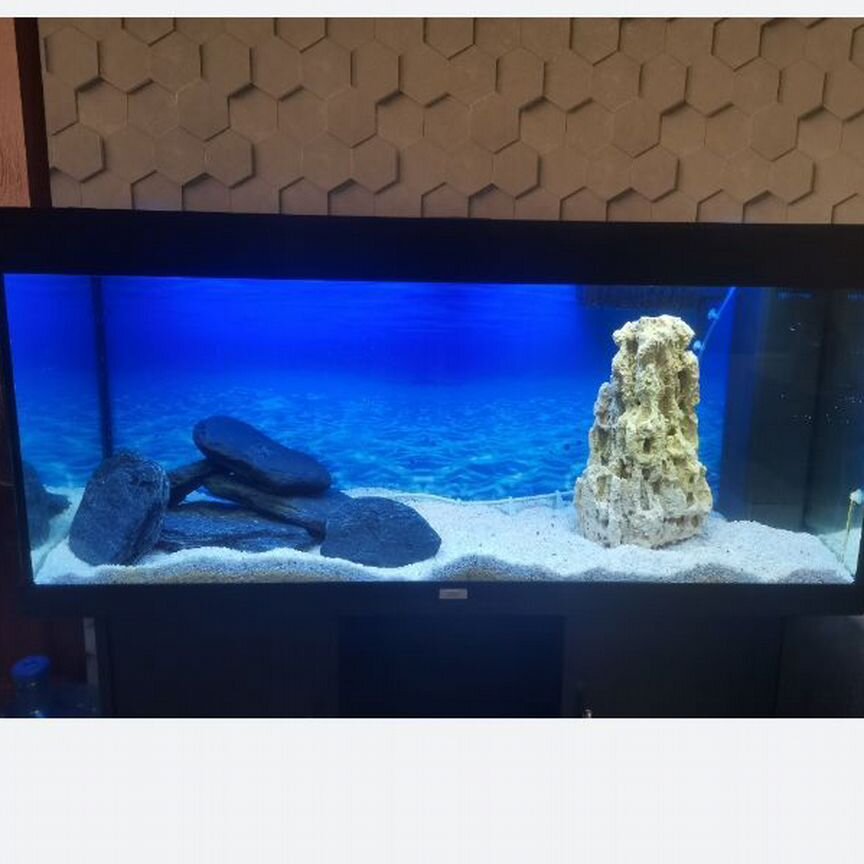 Аквариум Juwel Rio 240