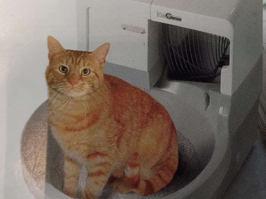 Автоматический кошачий туалет CatGenie 120