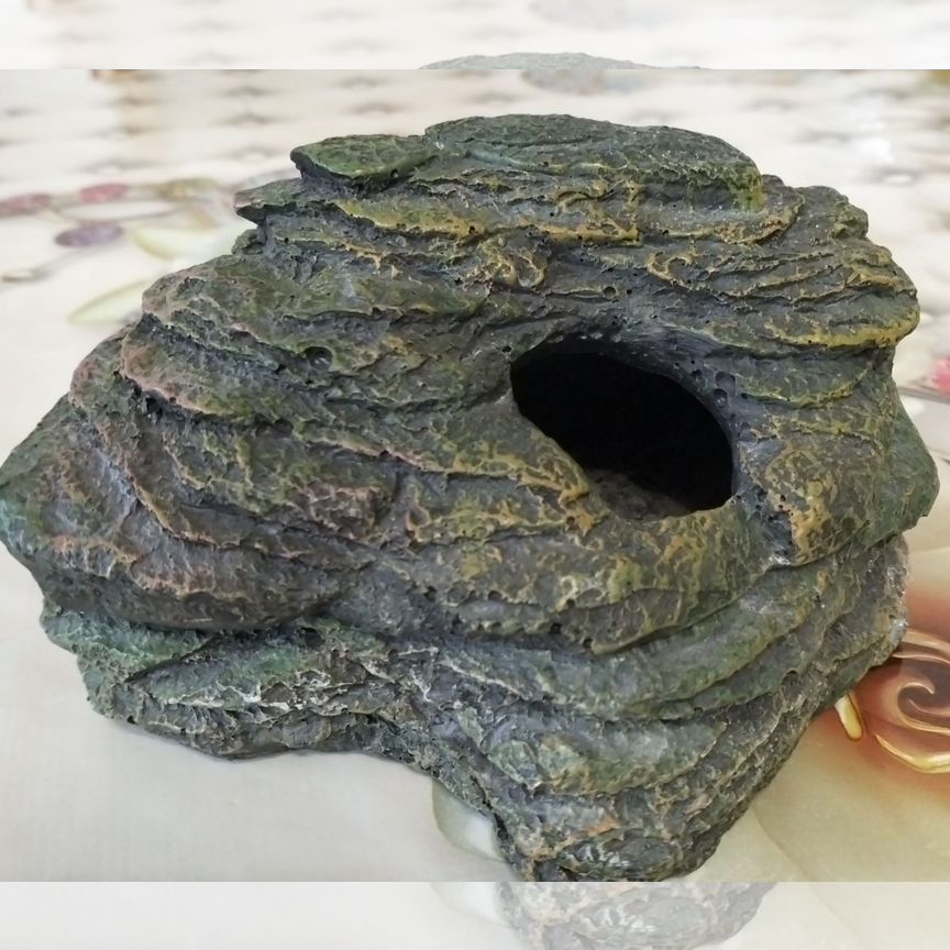 Влажная камера для рептилий