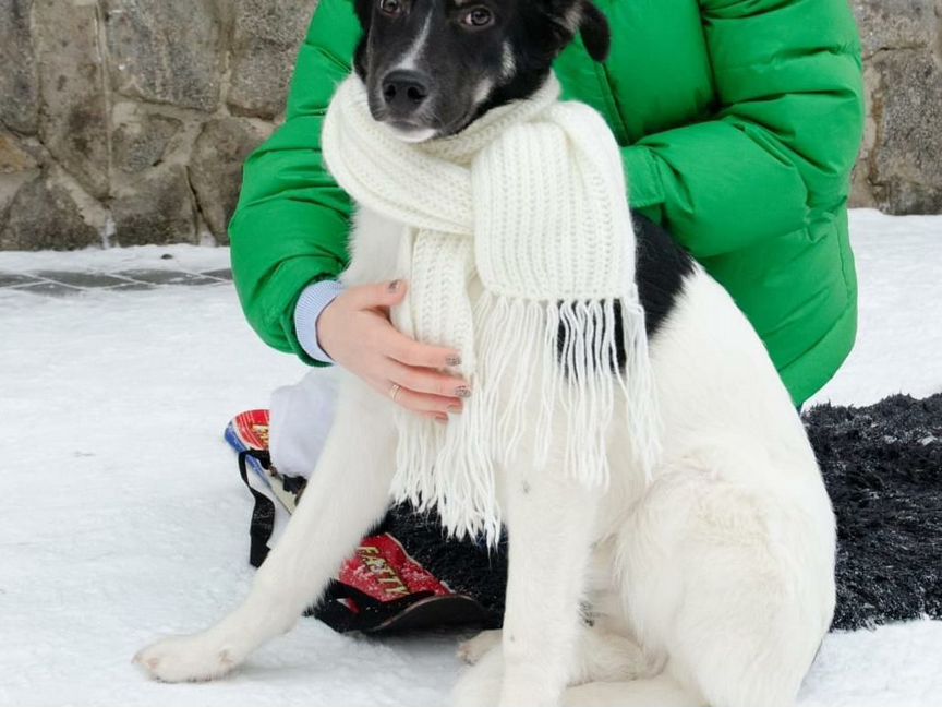 Малыш, 10 месяцев